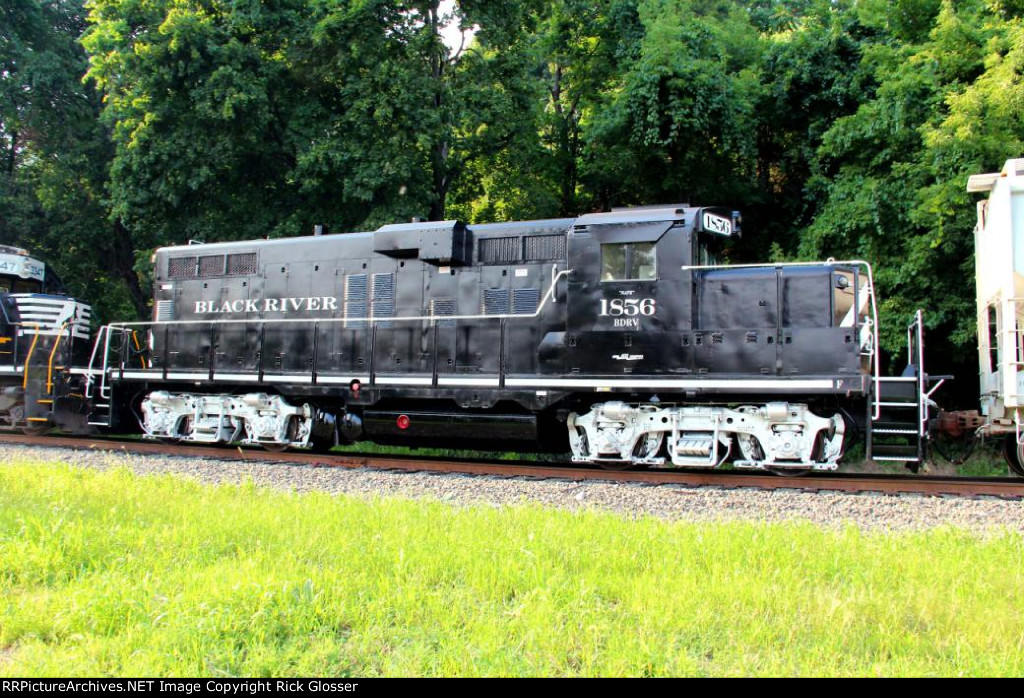 This picture is part of album: BDRV GP10 #1856 "Nate" Dressed in Fresh Company Paint